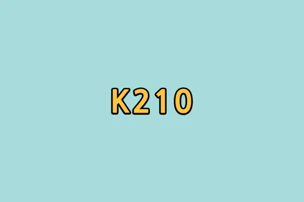 질병코드 K210 보험 청구 가이드 - 정보마스터